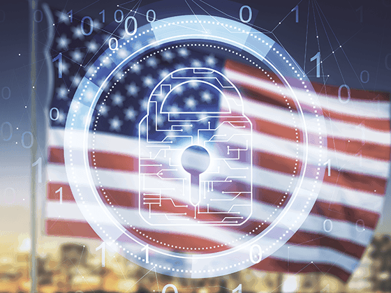 Cyber Risk Advisory | Coalfire