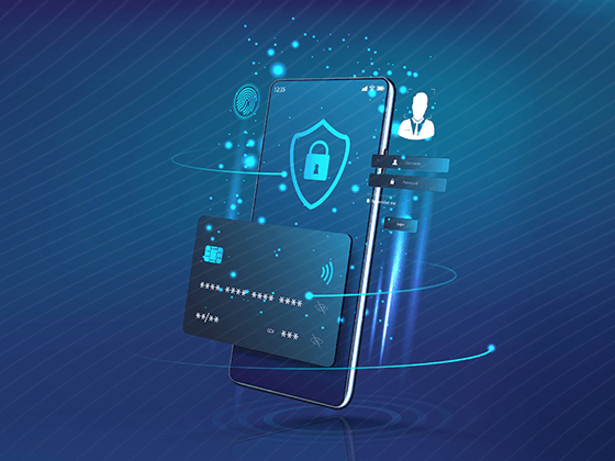 PCI DSS Compliance Services | Coalfire